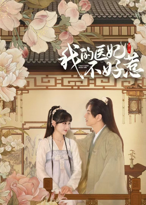 我的医妃不好惹 普通话 电视剧 高清在线观看 百搜视频